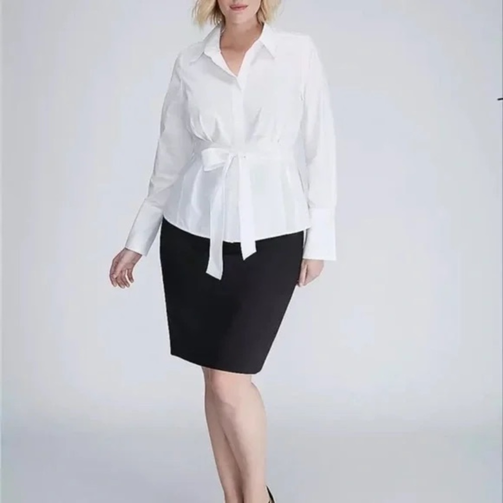 Lane Bryant Modernist Collection Pencil Skirt Gem